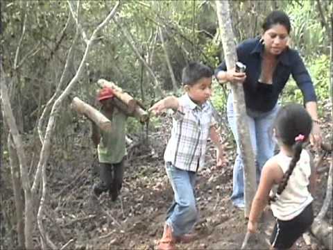 Tepetzintla Tradiciones de mi Pueblo - YouTube