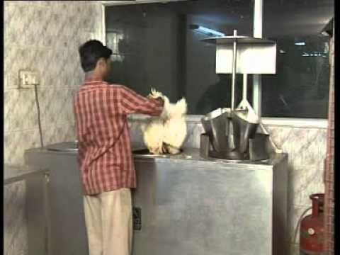RND Automation Pvt Ltd: Small Chicken Processing Unit (Hy-cab Unit ...