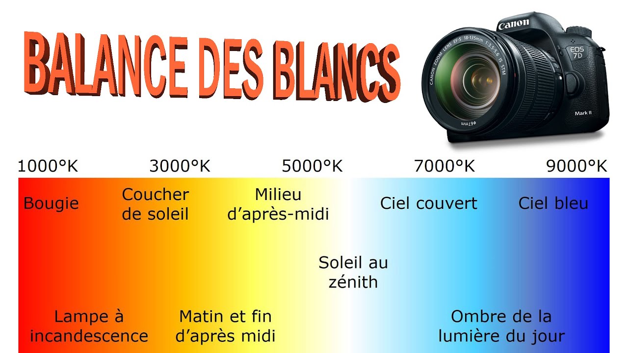 BALANCE DES BLANCS - YouTube