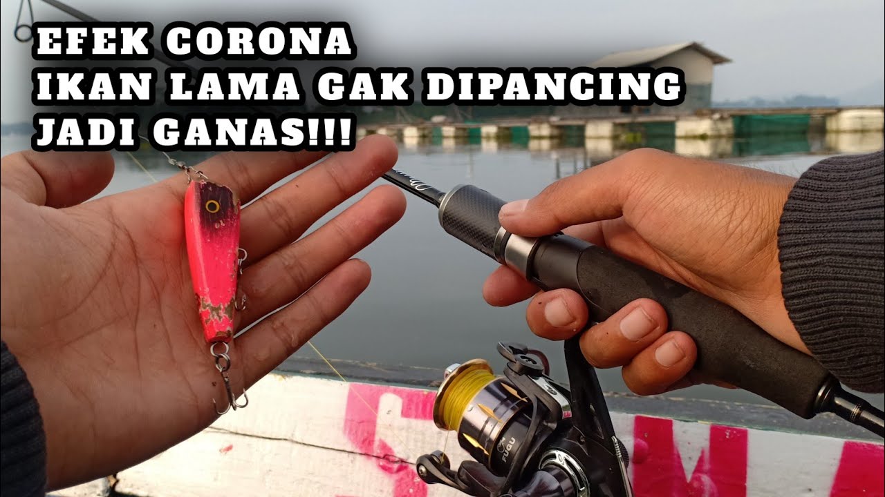 TOPWATER POPPER LURE | FISHING HAMPALA/SEBARAU INDONESIAN - YouTube