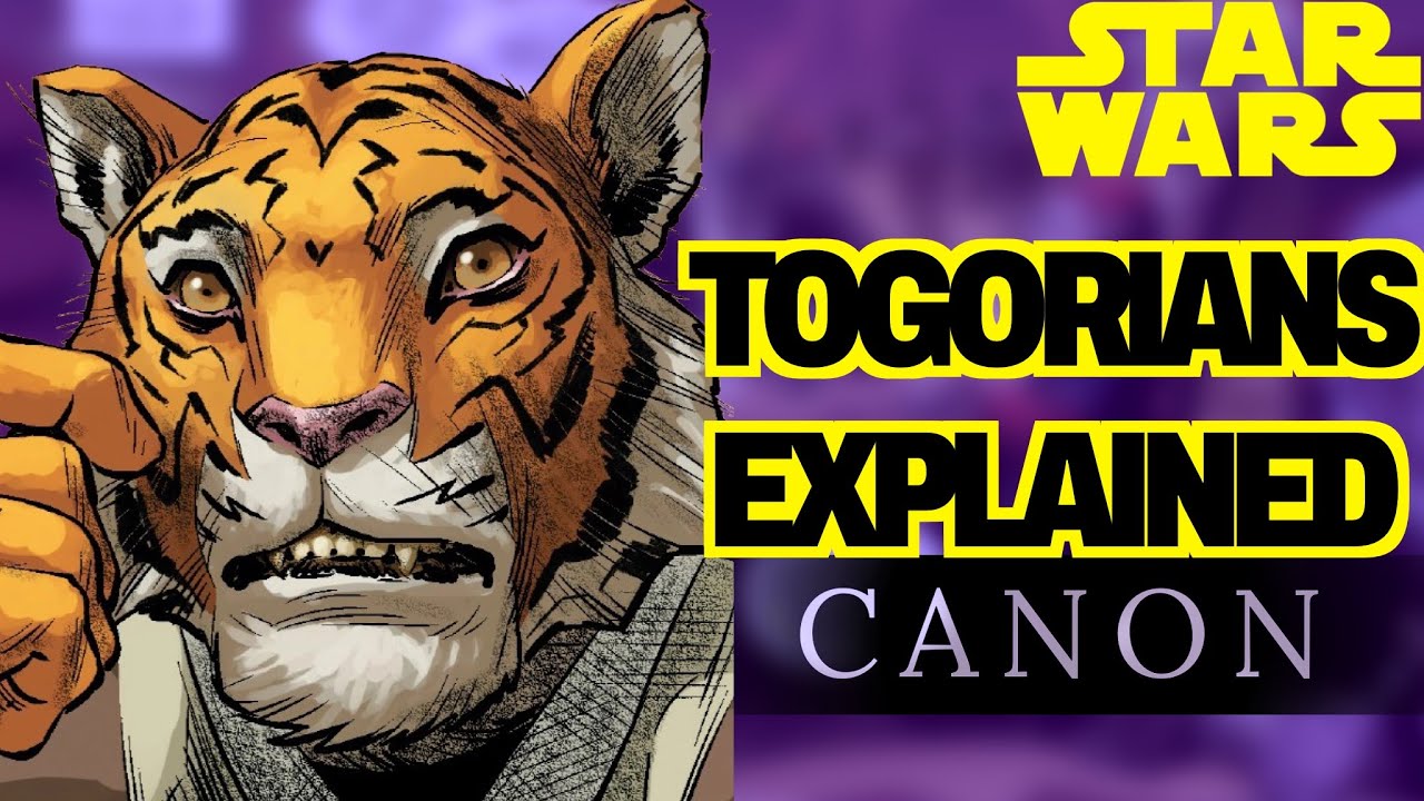Togorians Explained (Canon) - YouTube