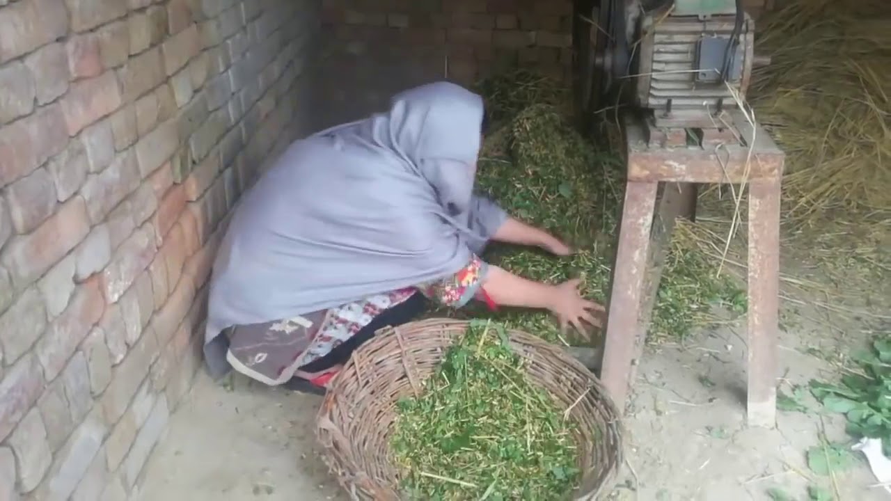 Bhalwal sargodha pakistan - YouTube