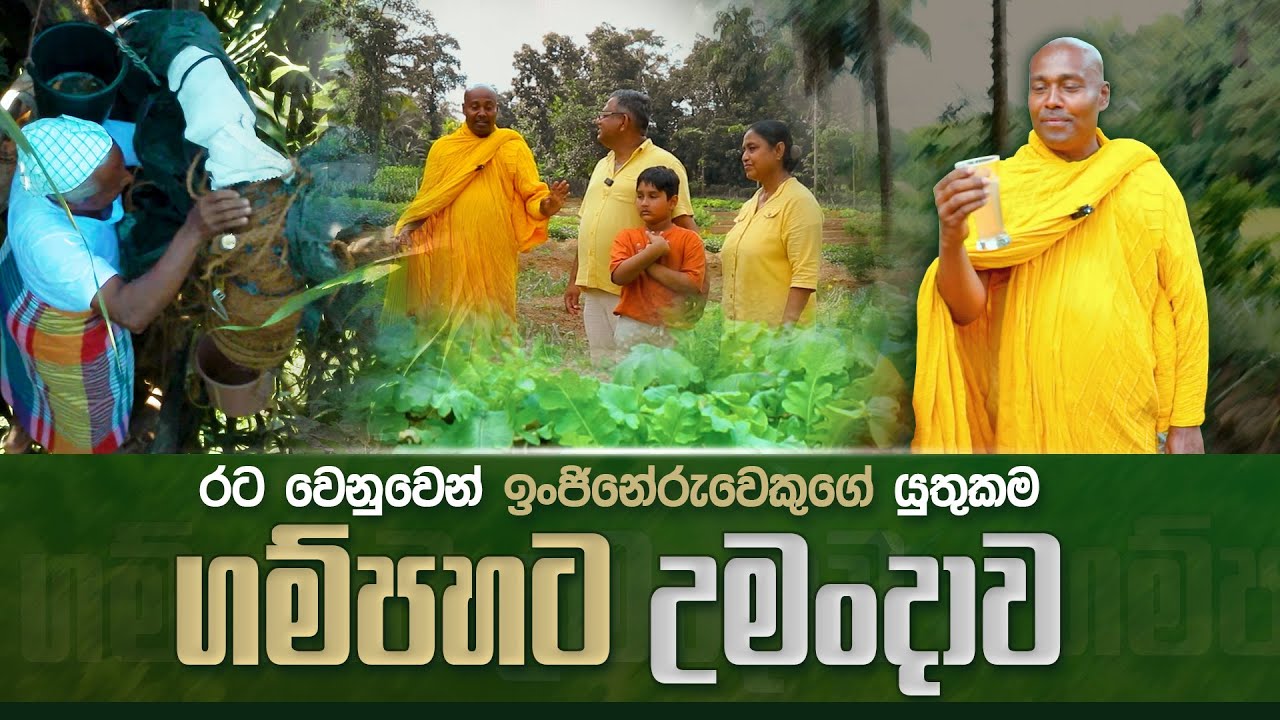 ගම්පහට උමංදාව - රට වෙනුවෙන් ඉංජිනේරුවෙකුගේ යුතුකම #umandawa - YouTube