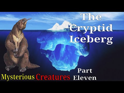 The Cryptid Iceberg Part Eleven - YouTube