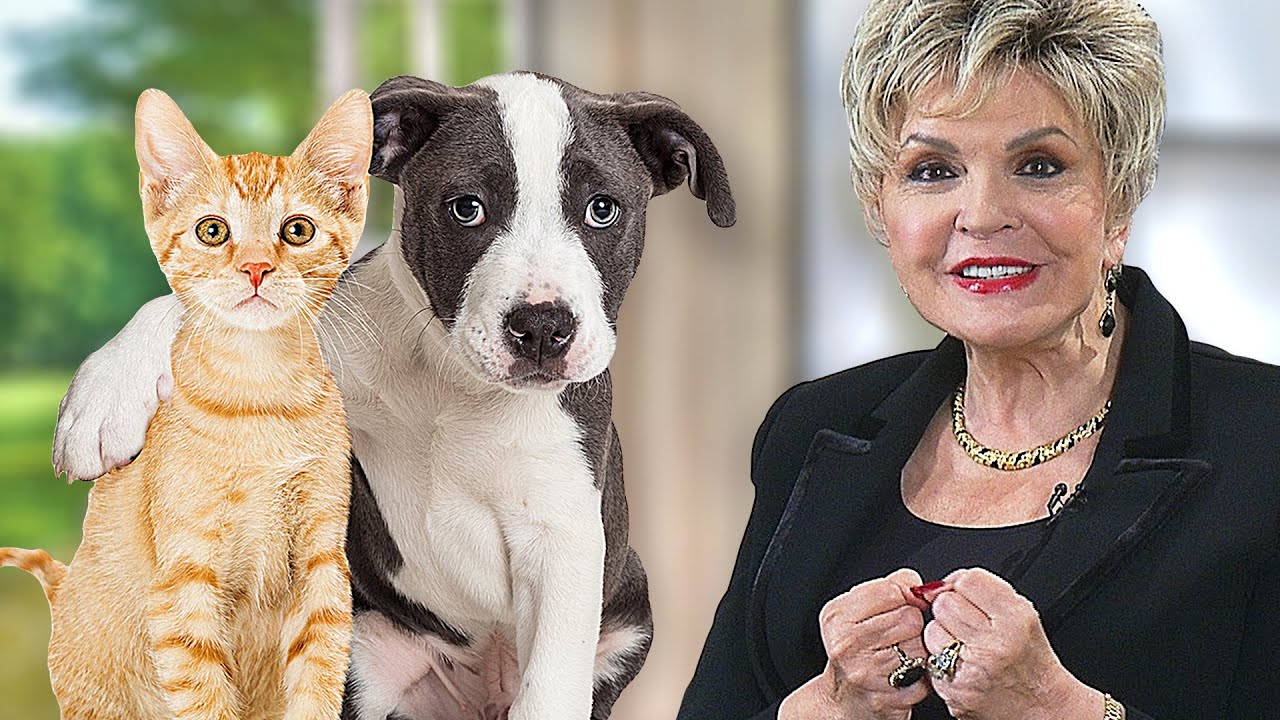 Spiritual Truths We Can Learn... From Our Pets! | Dr. Clarice Fluitt ...