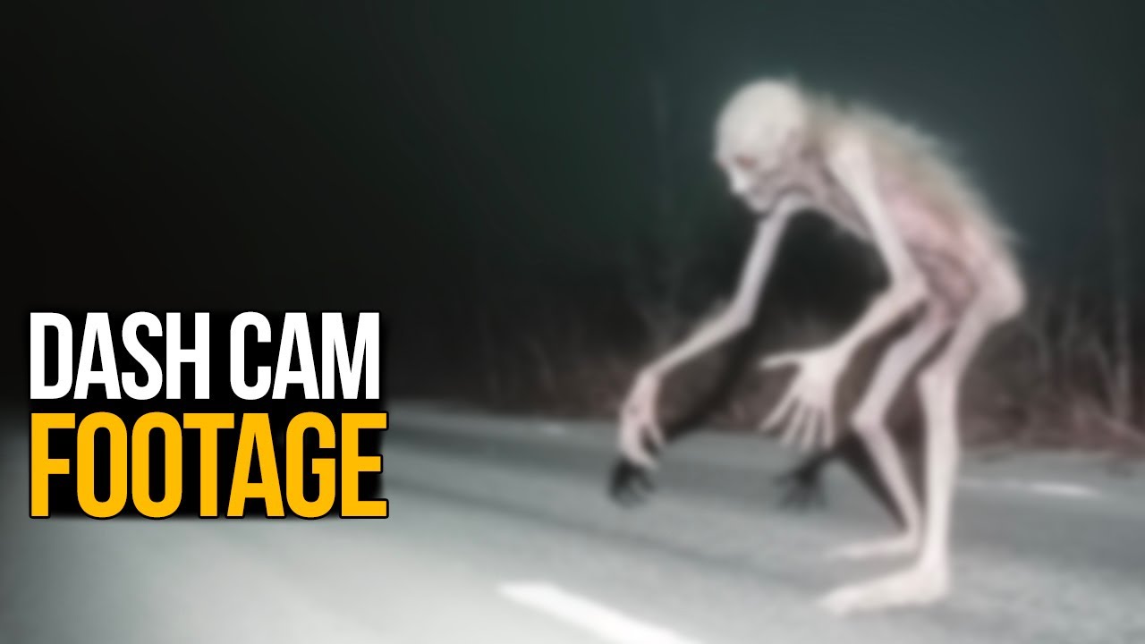 Undeniable Trail Cam Footage That Shows Proof THEY Exist - YouTube