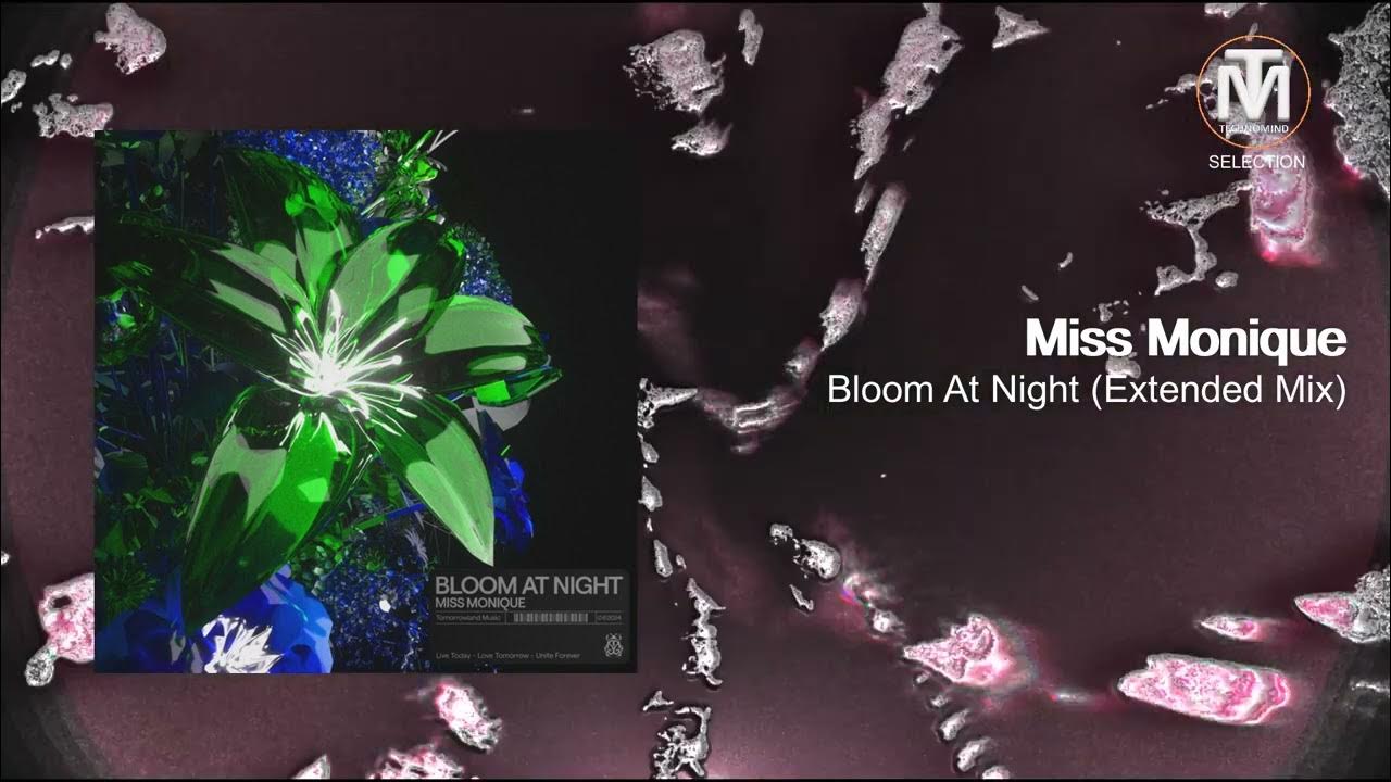Miss Monique - Bloom At Night (Extended Mix) [Tomorrowland Music] - YouTube