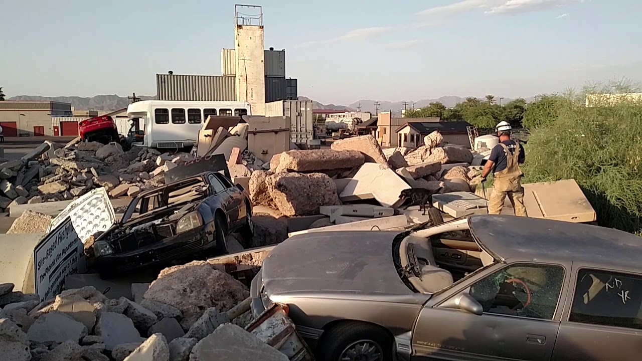 Arizona Search Dogs Merlyn 7.06.18...03 - YouTube