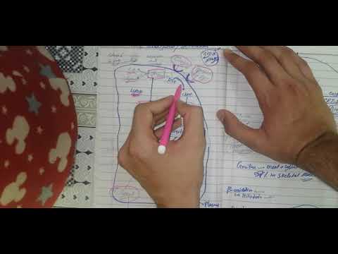 TAGS mobilization. #LIPIDS_METABOLISM #lipincott #biochemistry ...