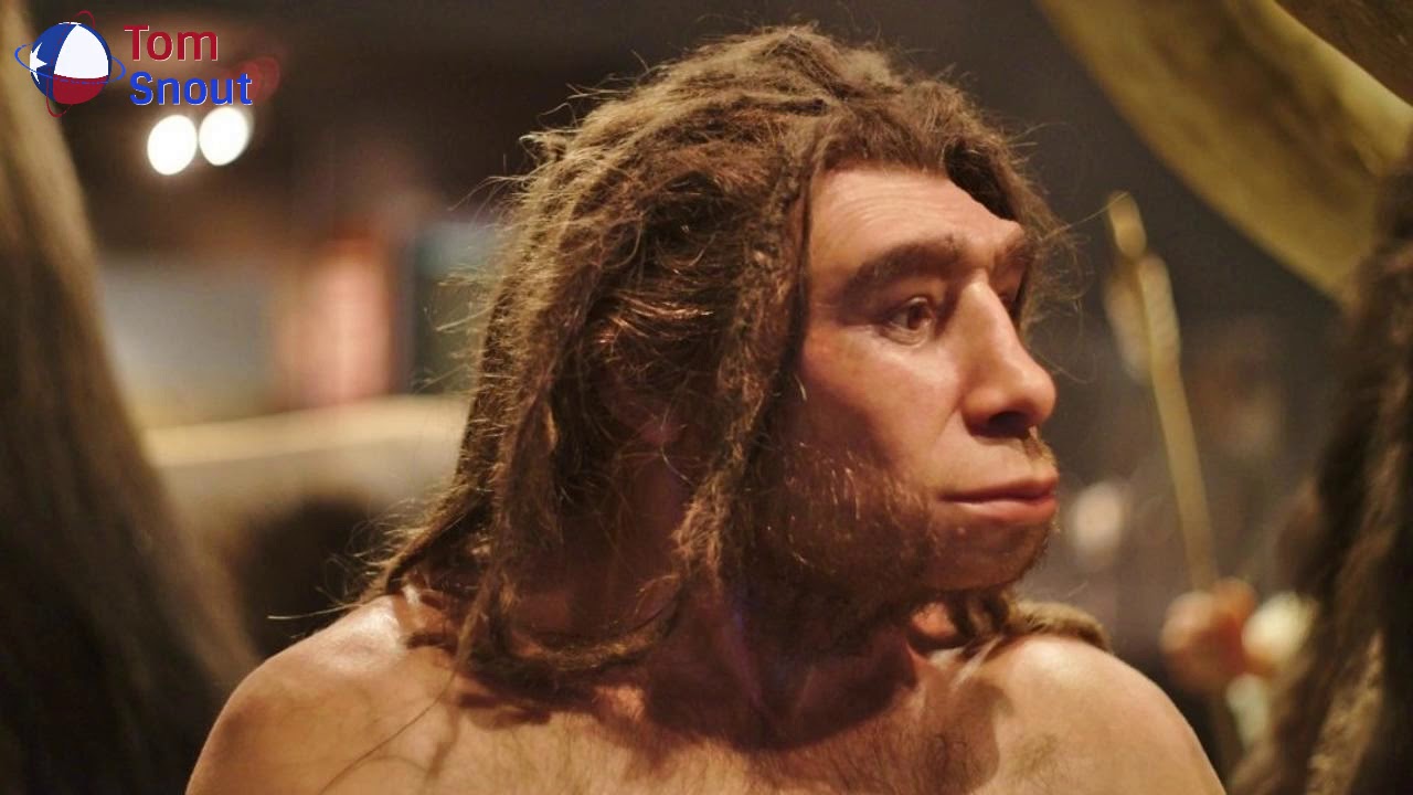 50,000 Year-Old String Shows Neanderthals Were Technologically Advanced ...