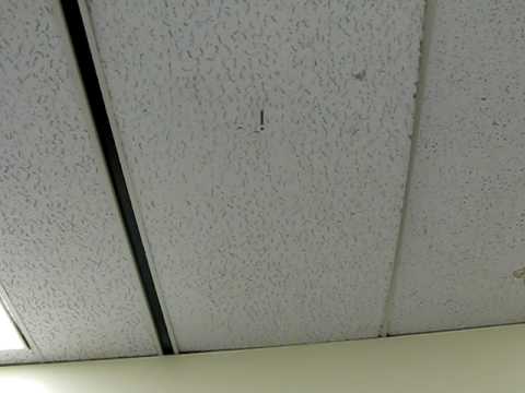 This Is What I Do Everyday at Lunch: Throwing Pencils at the Ceiling ...
