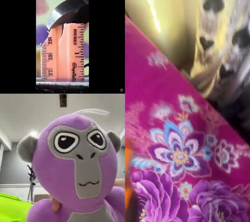 Garnold and monke plus and ruler ASMR - YouTube