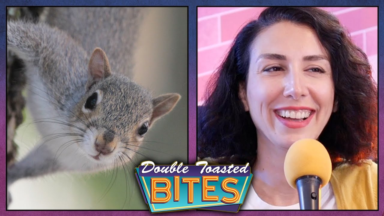 SQUIRREL THIEF CAUGHT STEALING SOMEONE'S AMAZON PACKAGE | Double ...