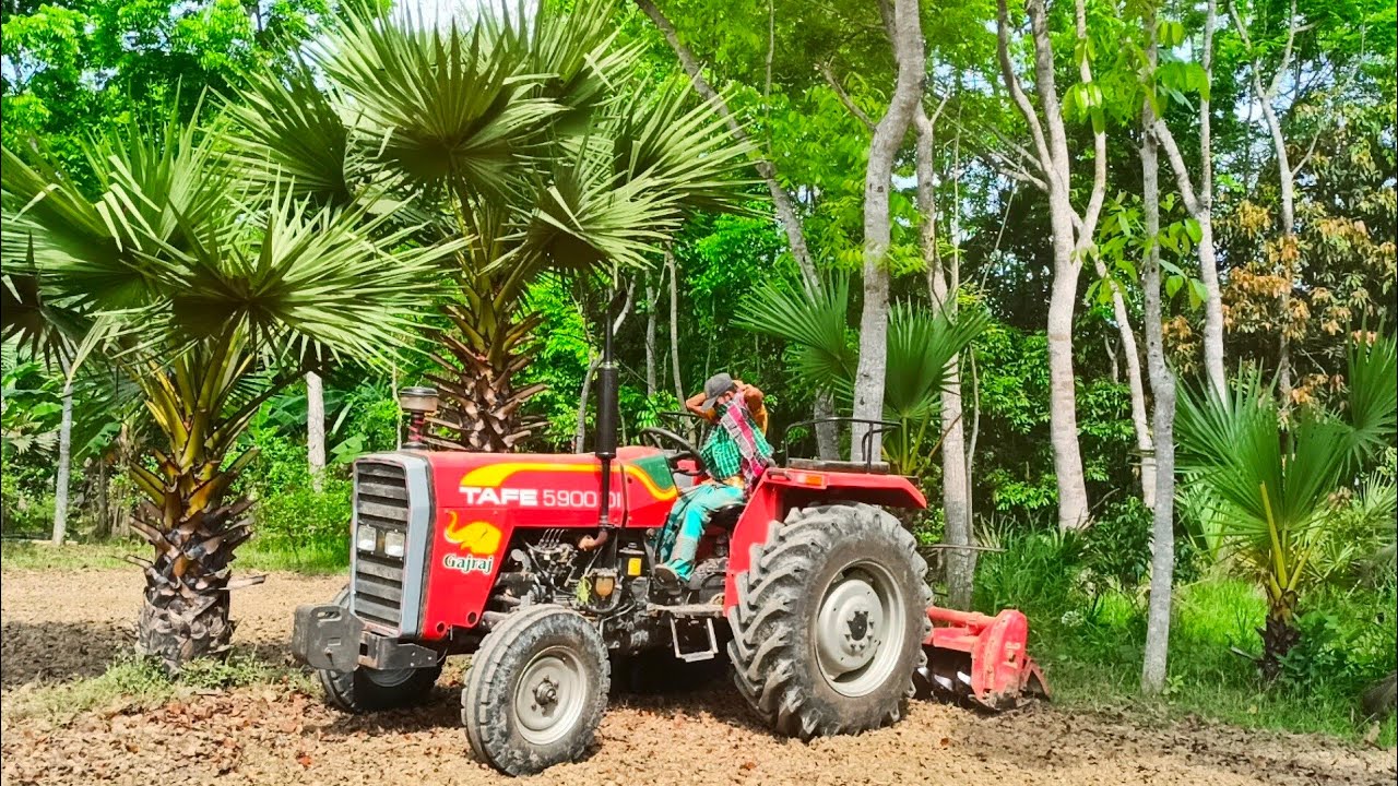 Young Boy Driving Tractor - Amazing Tafe Tractor Starting Skills - YouTube