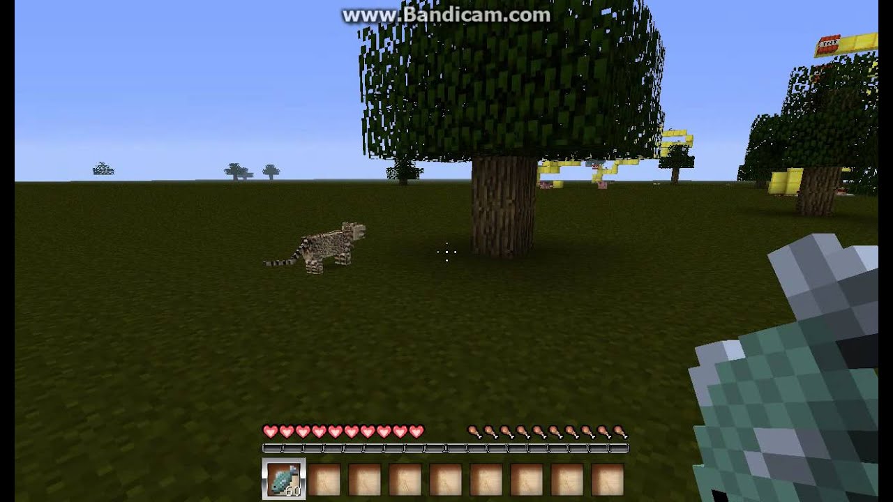 как приручить оцелота или пуму в Minecraft Youtube