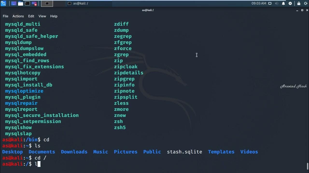 how to move from directory to folder on kali linux - YouTube