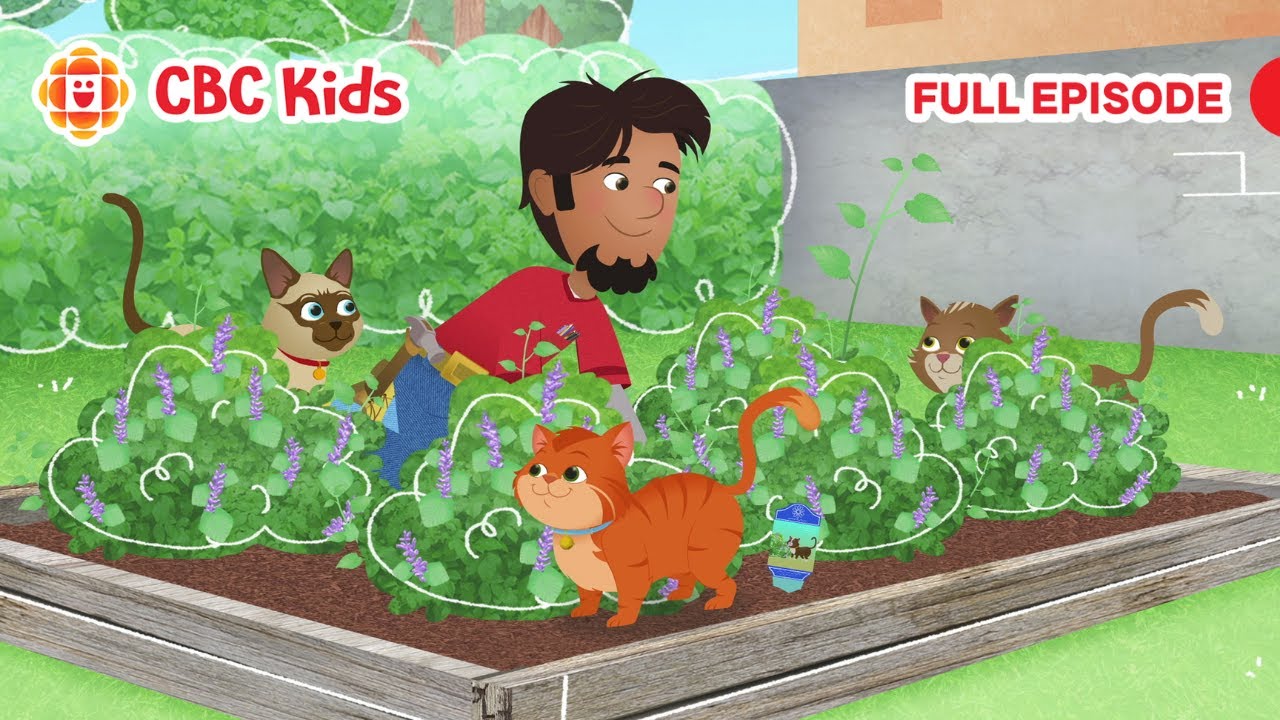 Addison | The Case of the Curiously Missing Kitty | CBC Kids - YouTube