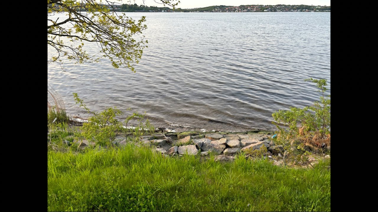 Good morning from Denmark 🇩🇰 - YouTube