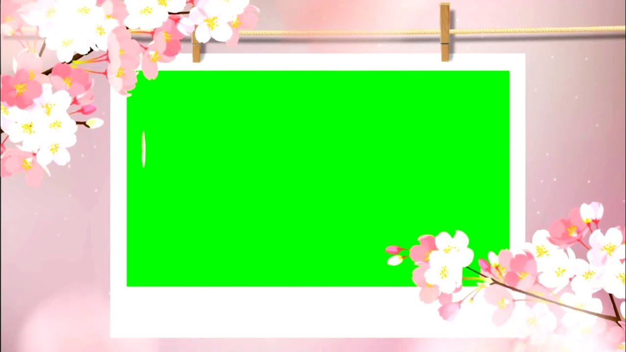 GREEN SCREEN 2020 | BUNGA SAKURA | SMOTH - YouTube