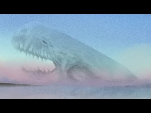 colossal whale - YouTube