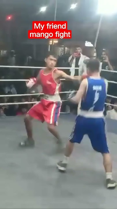 mango fight, - YouTube