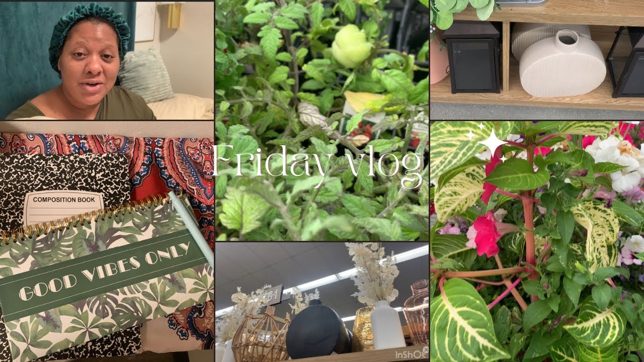 Boring Friday Vlog| Work |Friday Plan With Me Chitchat| More Plants ...