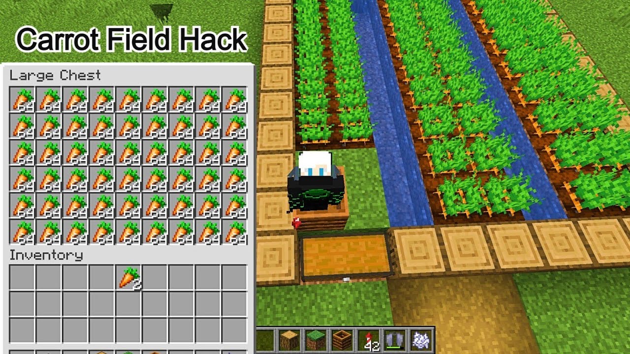 Crafting a Carrot field With Hack in minecraft. #minecraft - YouTube