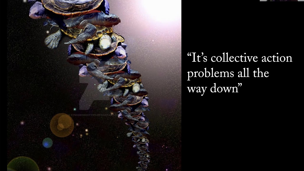 Cameron Harwick on Inside and Outside Perspectives on Institutions ...