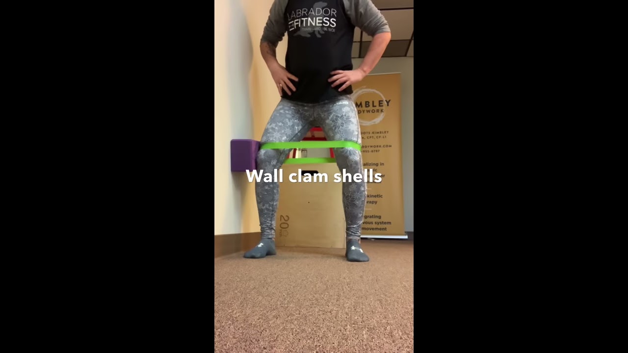 Wall clam shells - YouTube