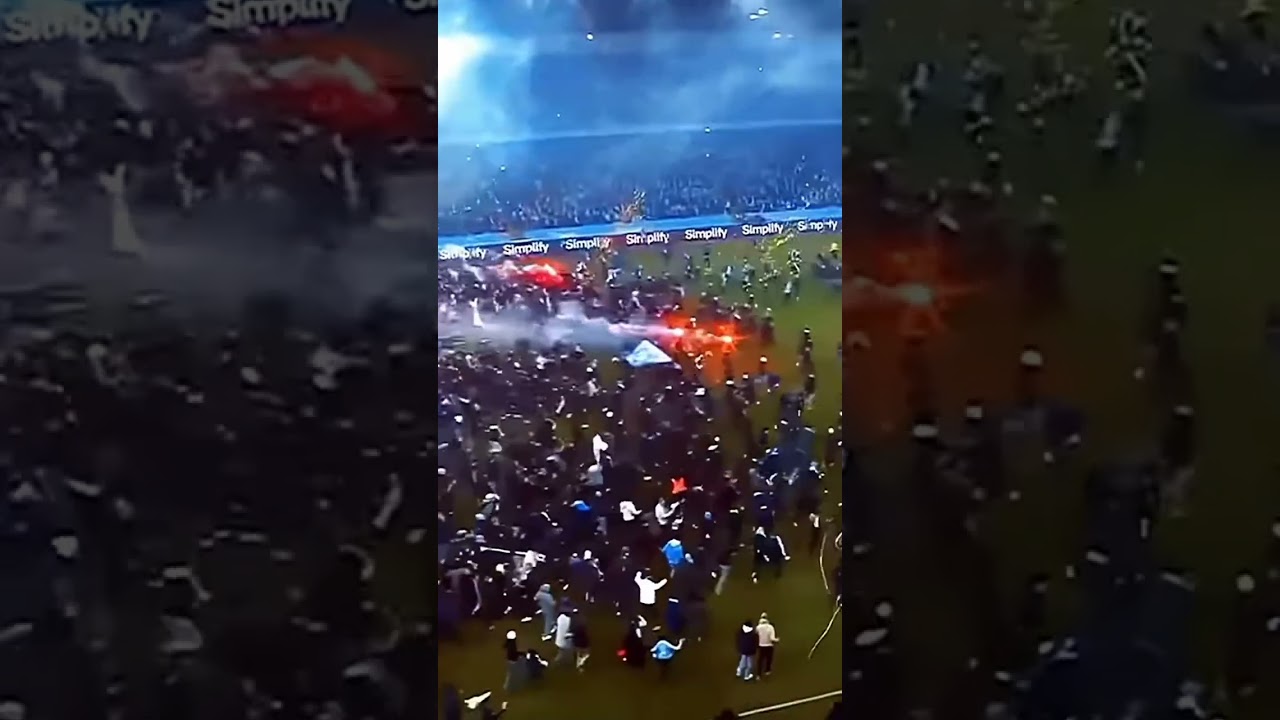 best fans forever - YouTube