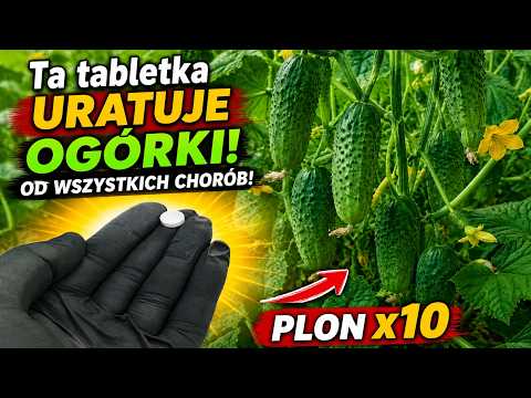 TABLETKA ZA 2 ZŁ Z APTEKI ZNISZCZYŁA SKLEPY OGRODNICZE. Ogrodnicy MILCZĄ o tym od lat!