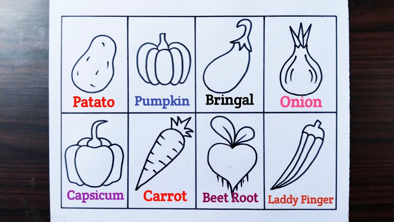 8 Different Types Of Vegetables Drawing Easy / Vegetables Chart Drawing ...