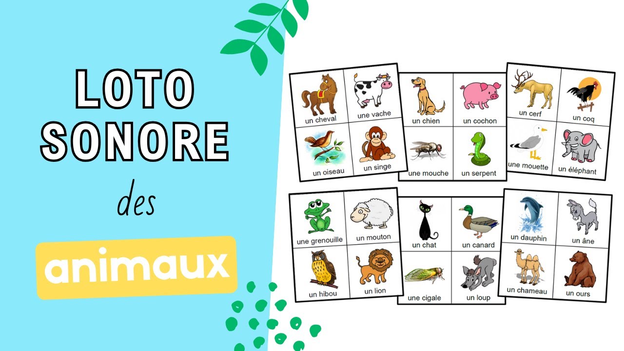 Loto sonore des animaux - YouTube