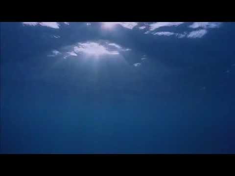 Ересь сектантов из Хизб-ут-тахрир