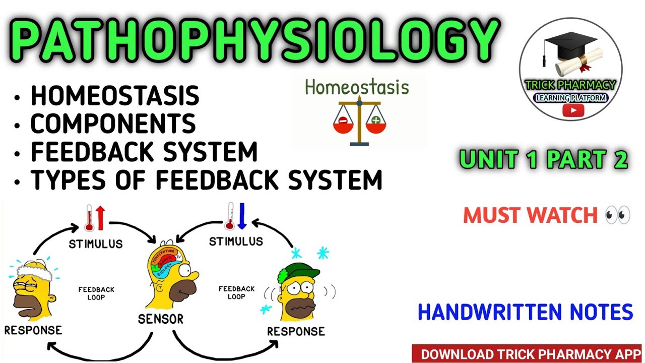Homeostasis | Components | Types of feedback system | Pathophysiology b ...