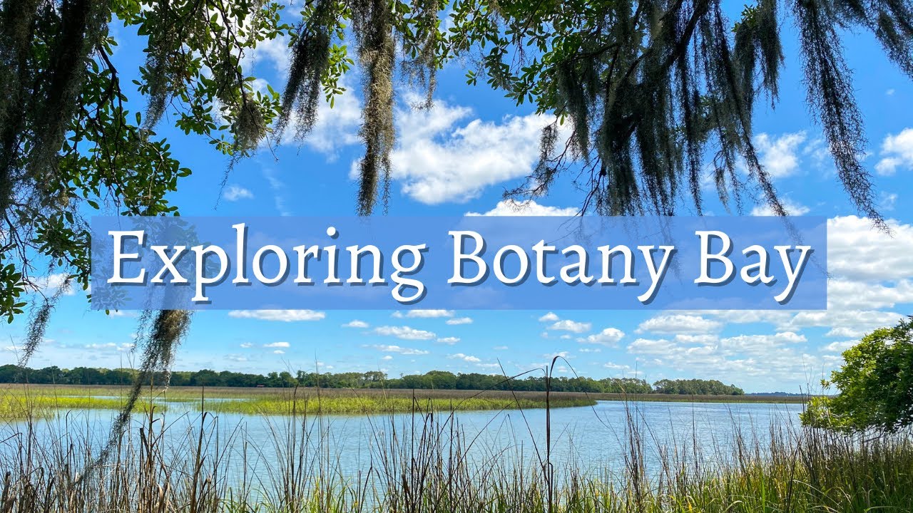 Exploring Botany Bay Plantation and Nature Preserve - YouTube