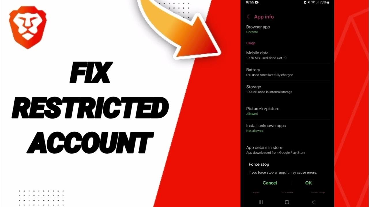 How To Fix Restricted Account On Brave Private Web Browser,VPN App ...
