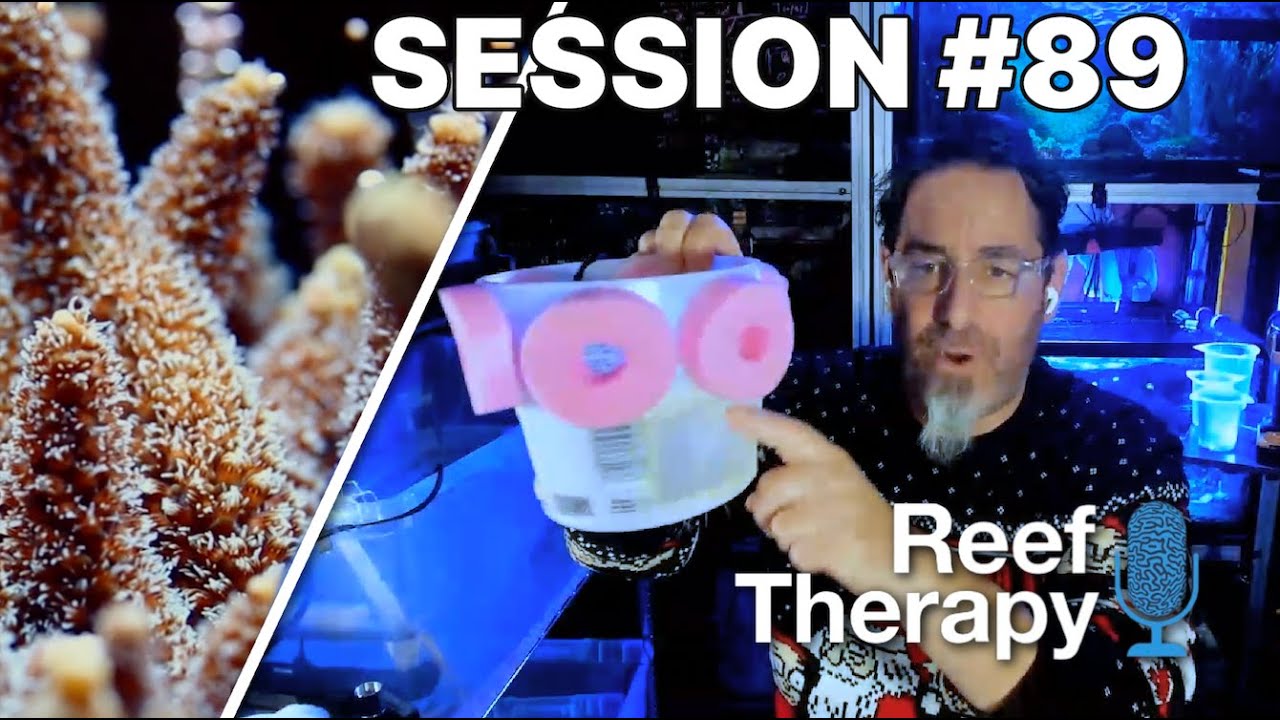 It's Coral Spawning Season in Richard Ross' Laboratory | #89 - YouTube