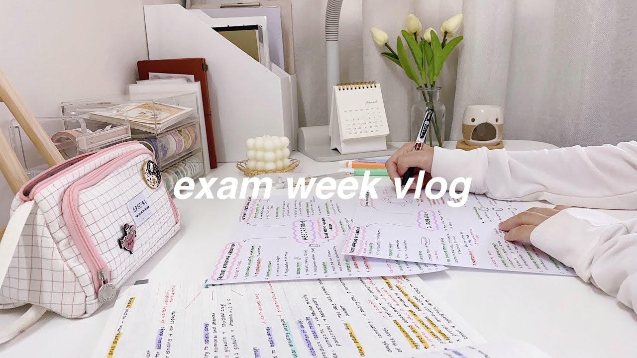 📝 exam week study vlog | surviving off mind maps and snacks | ft ...