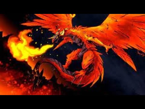 Terraria (Calamity) - Yharon Dragon - YouTube