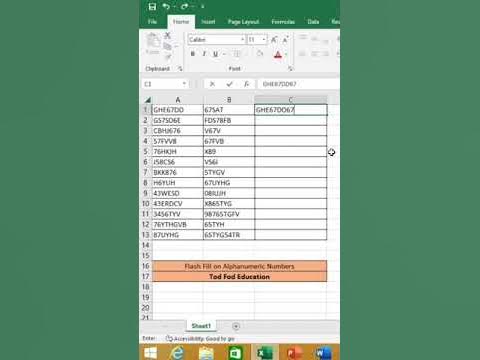 Excel Flash fill !! Excel Tips Tricks #exceltips #exceltutorial #excel - YouTube