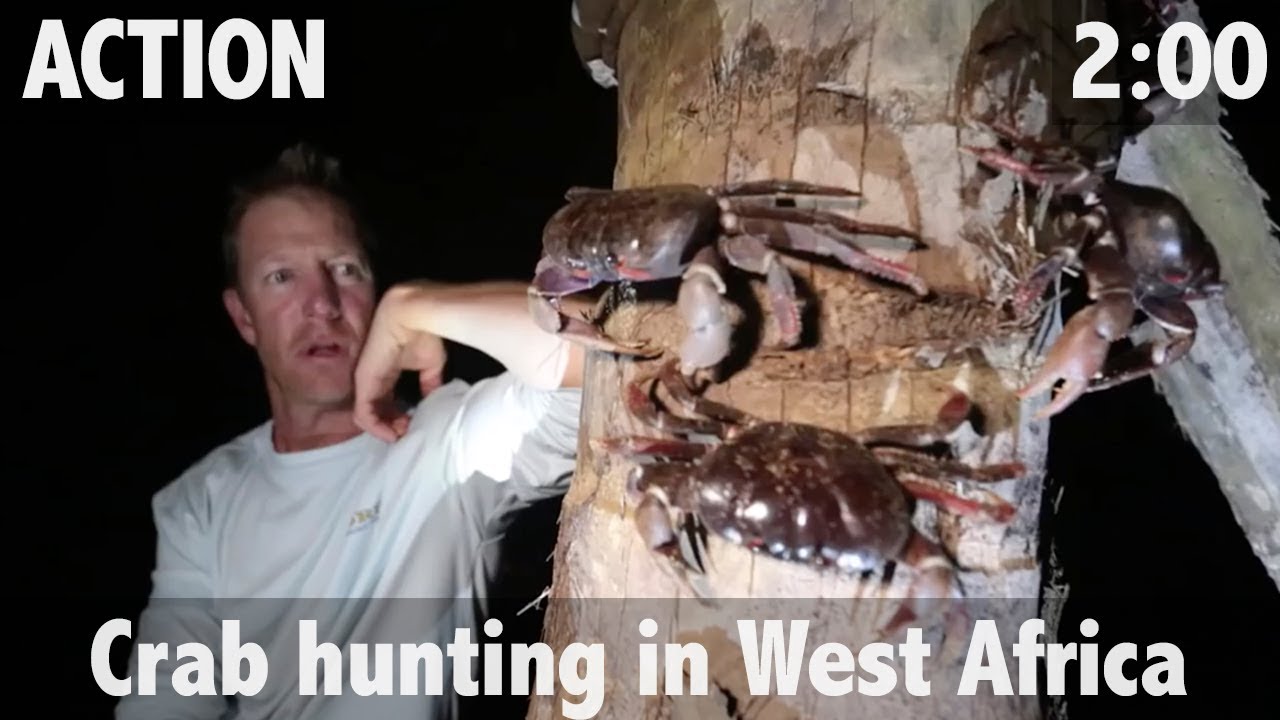CRAB HUNTING IN WEST AFRICA - YouTube