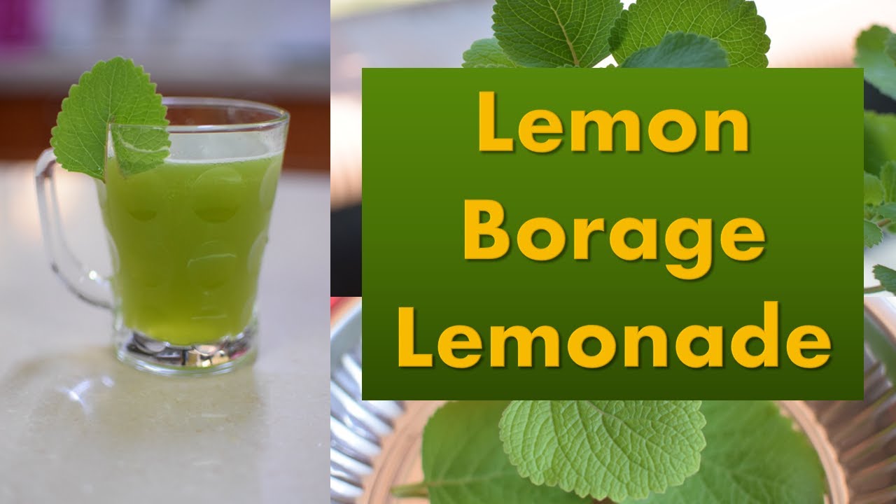 Lemon Borage Lemonade - A Refreshing Drink - YouTube