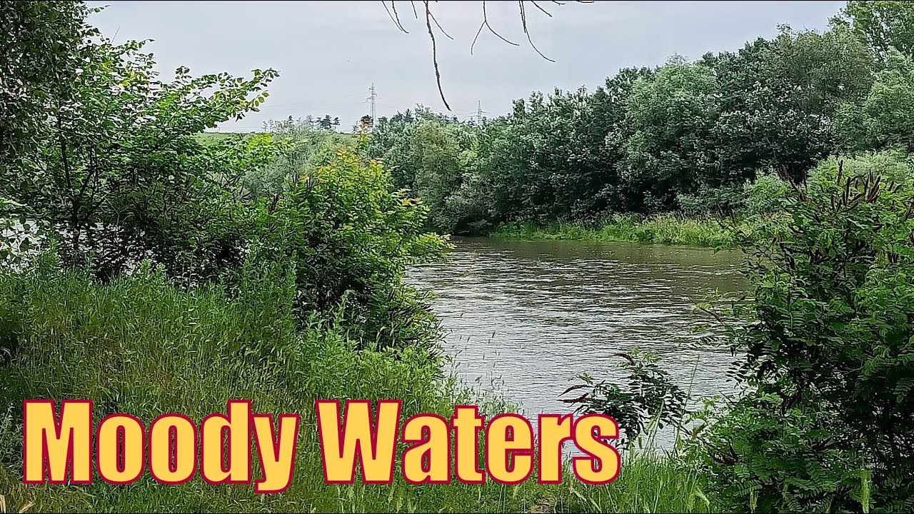 Moody Waters - YouTube
