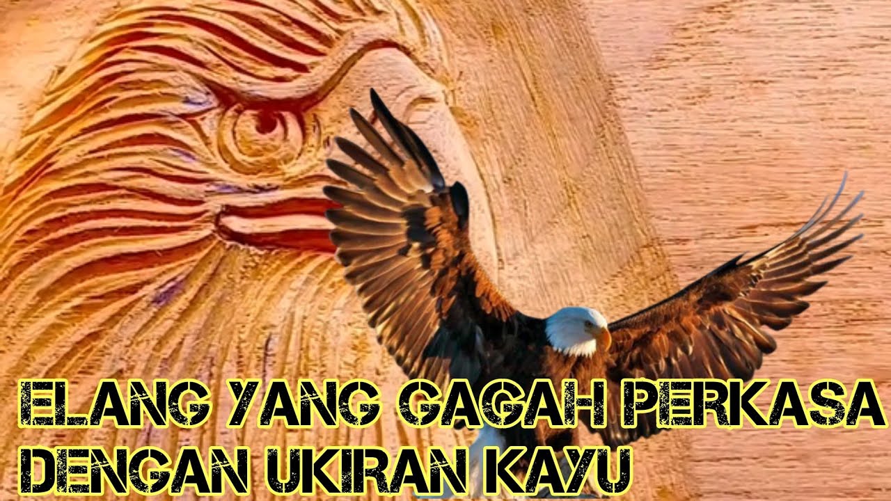ELANG YANG GAGAH PERKASA DENGAN UKIRAN KAYU - YouTube
