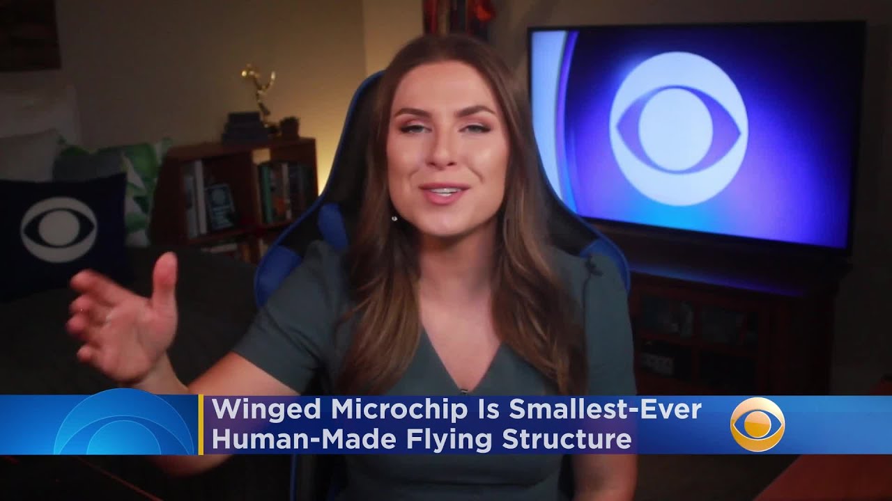 Winged Microchip Is Smallest-Ever Human-Made Flying Structure ...