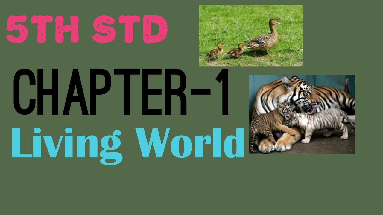 5th standard| chapter-1 | Living world - YouTube