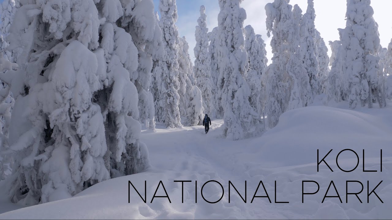 Winter hiking in Koli National Park - Kolin Kansallispuisto - YouTube