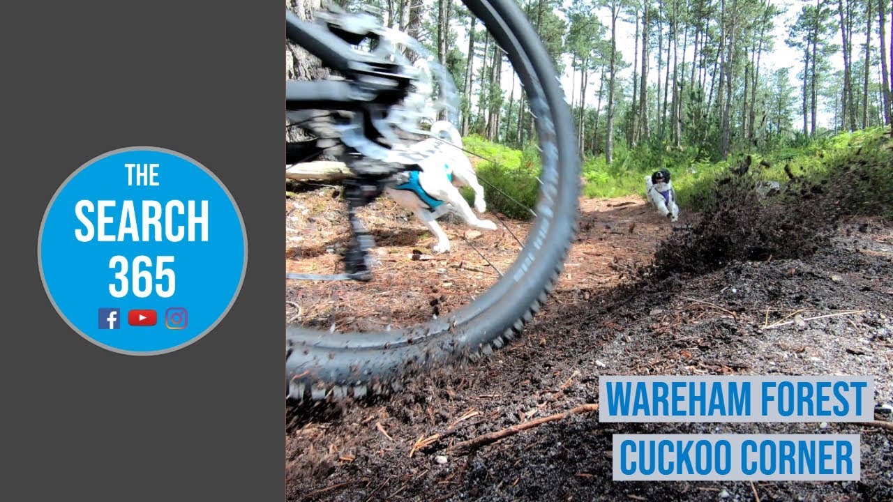 Wareham Forest | MTB Trails | Cuckoo Corner | GoPro 7 - YouTube