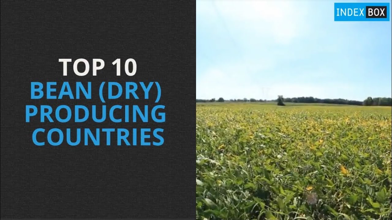 Top 10 Dry Bean Producing Countries - YouTube